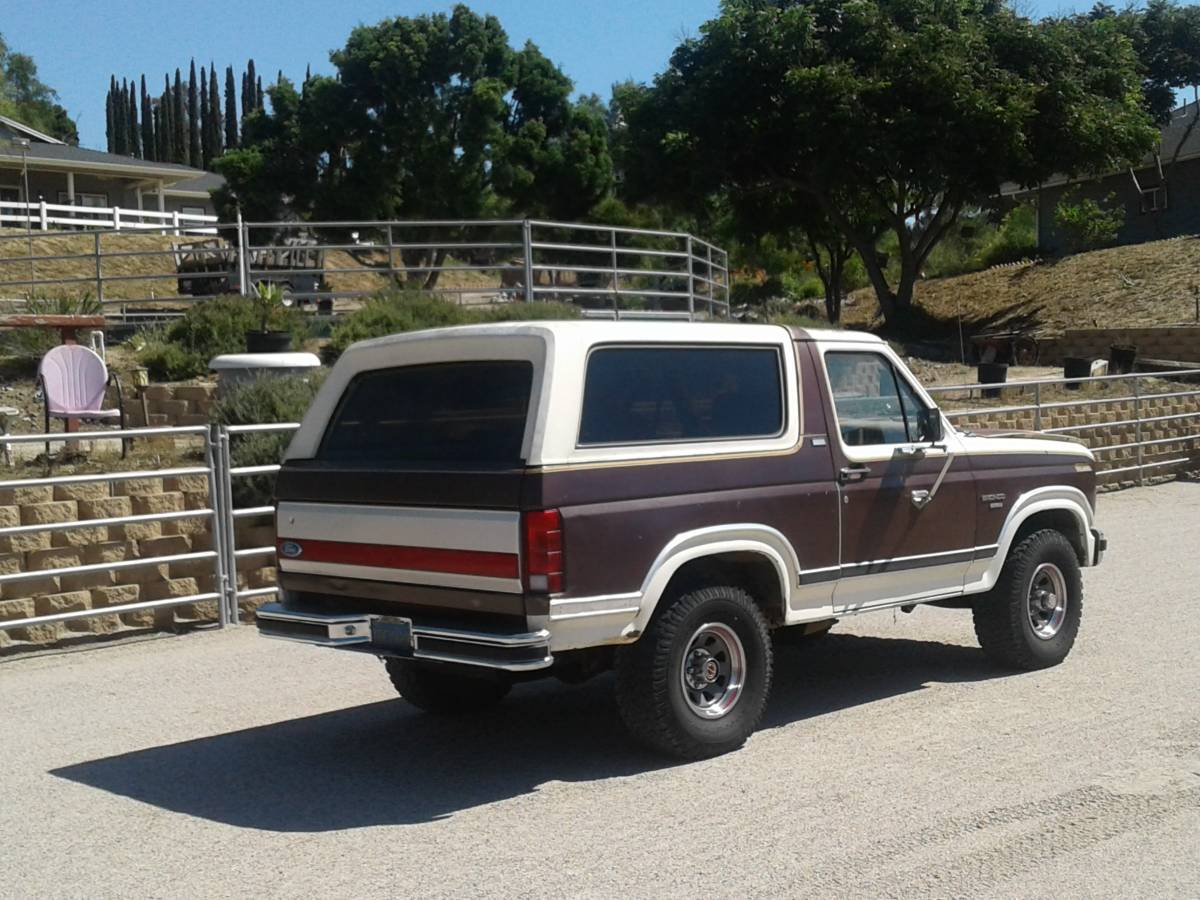 1982 Ford Bronco 4x4 Originalzustand - Import und Kauf von Fahrzeugen ...